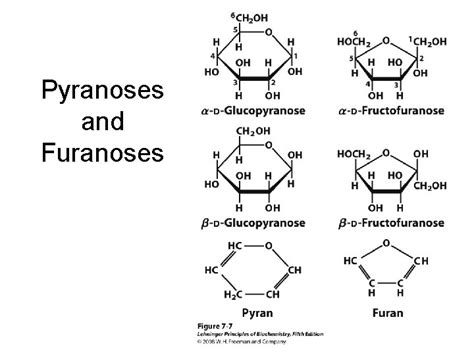 Chemistry 2100 Lecture 9 Carbohydrates Molecular Formula Ch