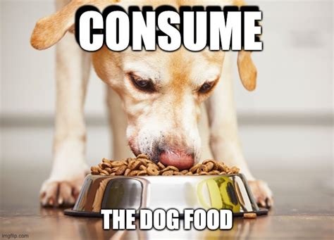 Hungery Imgflip