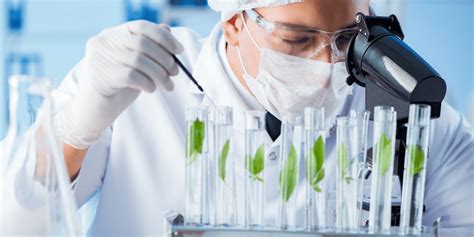 Biotech Manufacturing Explained Ipg