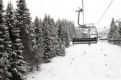 눈이 내리는 흐린 날 노르웨이 의 Hafjell 스키 리조트의 스키 슬로프를 따라 눈 덮인 가문비 나무와 스키 리프트 0명에 대한 스톡 사진 및 기타 이미지 Istock