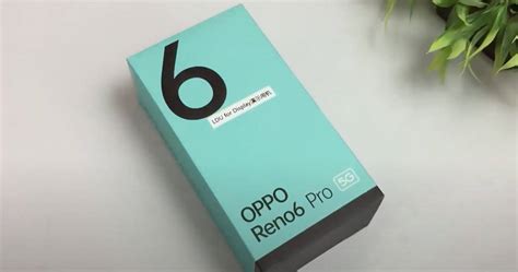 Oppo Reno Pro Price In India Revealed Through Unboxing Video Watch Here Mobiles Com