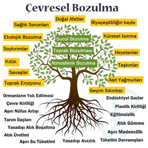 Iklim Arşivleri Kadın Balıkçılar Derneği