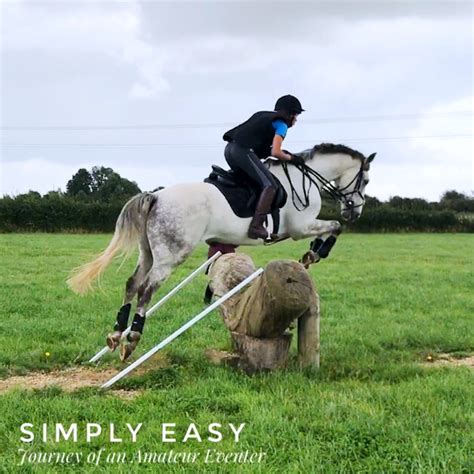 Did You Know All About Selenium Artofit