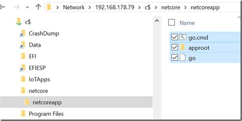 How To Run Net Core Application On Pi2 Win10 Iot Core Damir