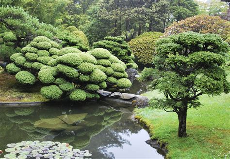 Japanese Tea Garden