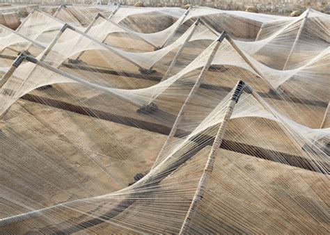 Barkow Leibinger Chose Cotton For Tensile Installation
