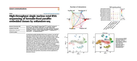 Single Cell Transcriptome For Ffpe Samples M20 Genomics