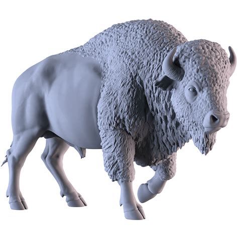 🦬 Bison・ Stl File For 3d Printing・cults