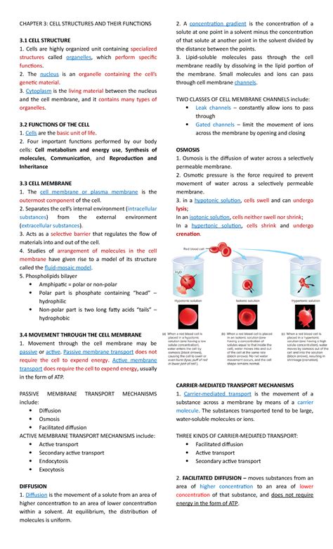 Chapter 3 CHAPTER 3 CELL STRUCTURES AND THEIR FUNCTIONS 3 CELL STRUCTURE Cells Are Highly