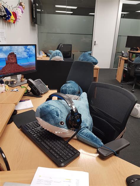 Brotherhood Of Blahaj Looking After The Office R Blahaj