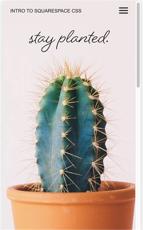 Squarespace CSS Code Snippets Plugins For Styling Your Site In Mobile View Paige Brunton