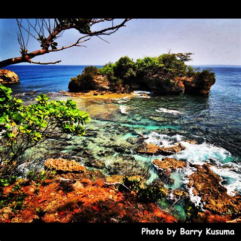 Ujung Kulon National Park Resort