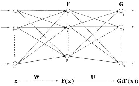 Two Layer Feedforward Network Model Download Scientific Diagram