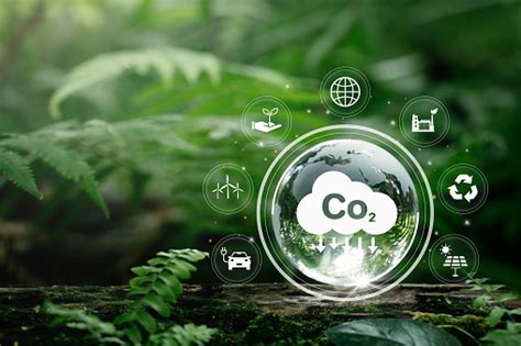 Co2 아이콘이 있는 글로브 글래스는 햇빛이 있는 녹색 숲에서 탄소 배출 감소 탄소 중립 개념입니다 온실가스 순배출 제로 목표