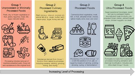 Download Scientific Diagram Spectrum Of Processing Of Foods Based On The Nova Classification