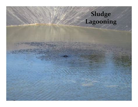 Sludge Management And Sludge Digesters Pdf