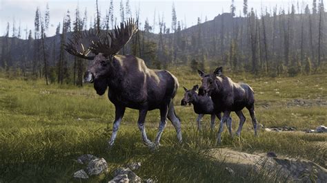 Way Of The Hunter 2 Official Game Site