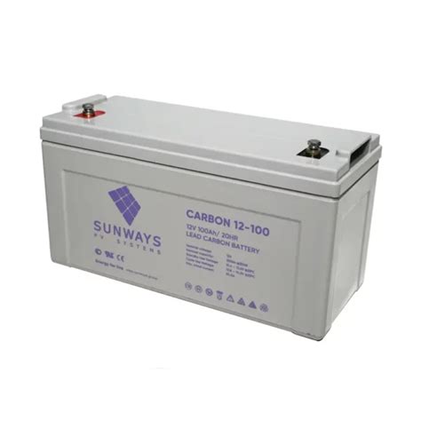 SUNWAYS CARBON 12-100 - БайкалТесла