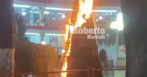 Фото Пожар попладнево ја зафати новогодишната елка кај „Силбо“ во Аеродром Skopjeinfo Mk