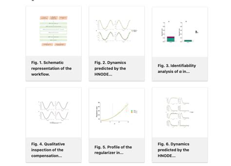 Robust Parameter Estimation And Identifiability Analysis With Hybrid Neural Ordinary