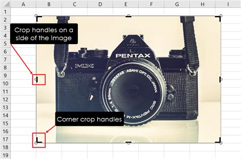 6 ways to crop an image in microsoft excel how to excel