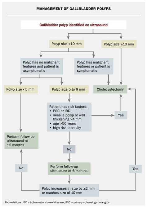 Gallbladder Polyps To Treat Or Not To Treat Medicine Today