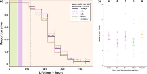 Long‐term Survival And Fecundity Of Enterococcus Faecalis‐colonized