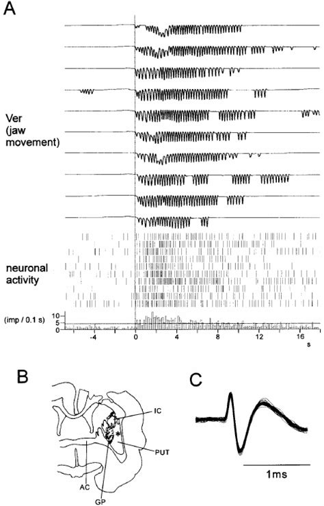 The Activity Of A Sequence Related Neuron From The Put A The Download Scientific Diagram