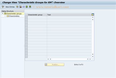 JBWG SAP Tcode Characteristic Groups For RM