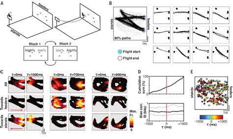 Nonlocal Spatiotemporal Coding Is Present During Goal Directed Download Scientific Diagram