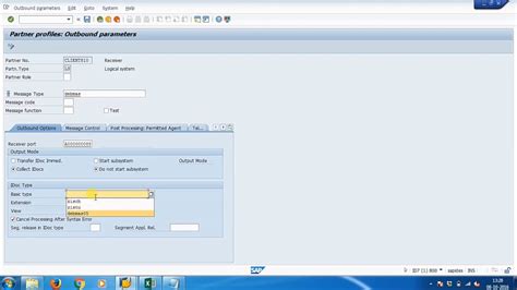 Idoc Error Handling In Sap Abap At Sam Hamby Blog