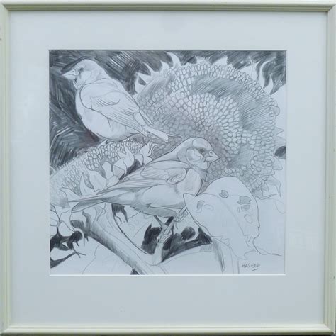 Andrew Haslen British Ar Greenfinches On Sunflowers Signed