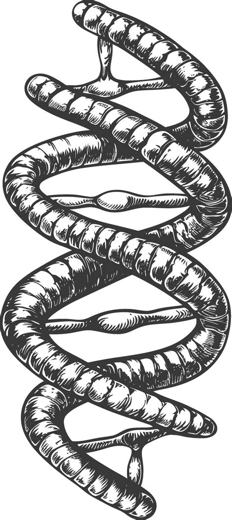 Gene Dna Mutation Symbol With Engraving Style Black Color Only 46012139 Vector Art At Vecteezy