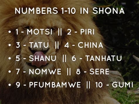 Shona Indebele By Mon Mpofu