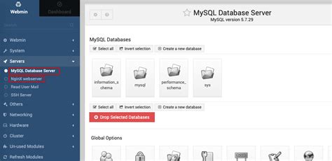 Lnmp Stack With Webmin Gcp — Aurora 10 Documentation
