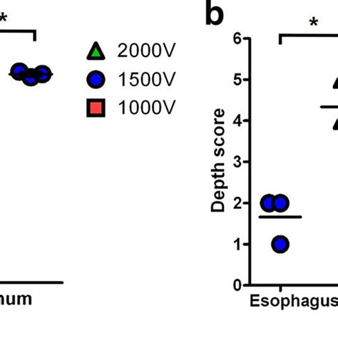 Zargar Endoscopic Classification Scheme For Caustic Mucosal Injury