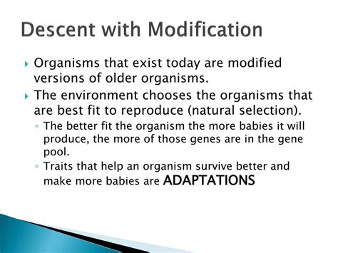 Ppt Evolution By Natural Selection Powerpoint Presentation Free