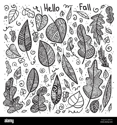 Set Of Vector Zen Tangle And Doodle Leaf Anti Stress Autumn Nature Coloring Book Black And