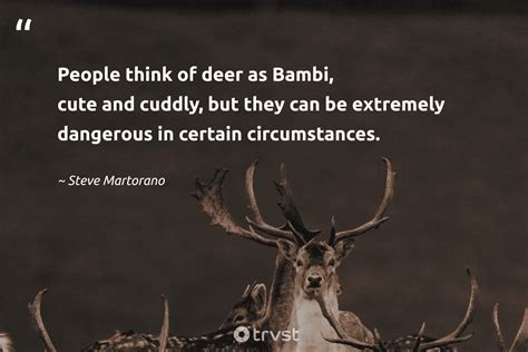 35 Deer Quotes About The Graceful Mammals With Antlers