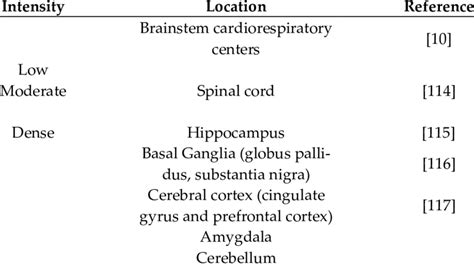 The Location And Intensity Of Cb1 Receptors In The Human Body