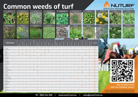 Downloadable Chart Nuturf Rain Chart 2026 Article