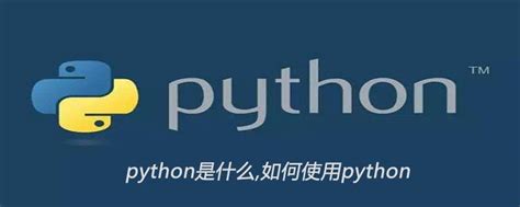 Python有什么含义python的含义 Csdn博客