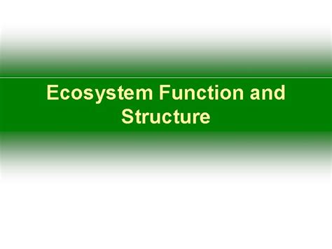 Ecosystem Function And Structure The Earths Lifesupport Systems