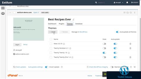 Manage Themes Using The Wordpress Toolkit Cpanel • Extilum Help