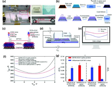 A Optical Picture Of Architected Mxene−graphene Based Fet Sensor B