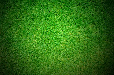 녹색 잔디 텍스처 배경 잔디 정원 의 최고 보기 이상적인 개념 녹색 바닥 비네팅 조정을 만들기 위해 사용 훈련 축구 경기장에 대한 잔디 잔디 골프 코스 녹색 잔디 패턴 0