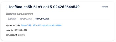 Deploy Working Station For Cygno Experiment Sys Admin Nomination