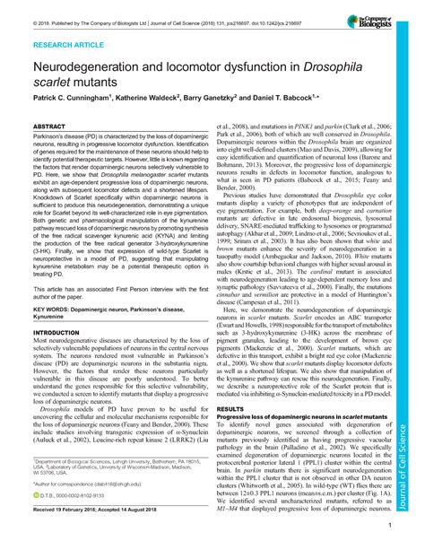 Neurodegeneration And Locomotor Dysfunction In Drosophila Scarlet Mutants Research Article