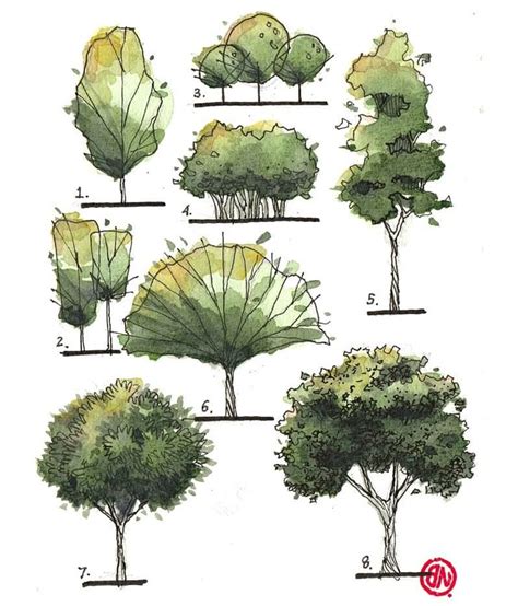 Ferdy Sabono On Instagram Tree Sketch Series 1 🍀🌳🍃 Sketchbook Sketchers Sketch