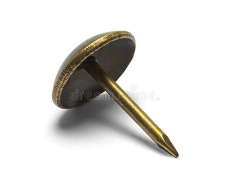 Tack Stock Image Image Of Thumbtack Head Thumb Round 221329967